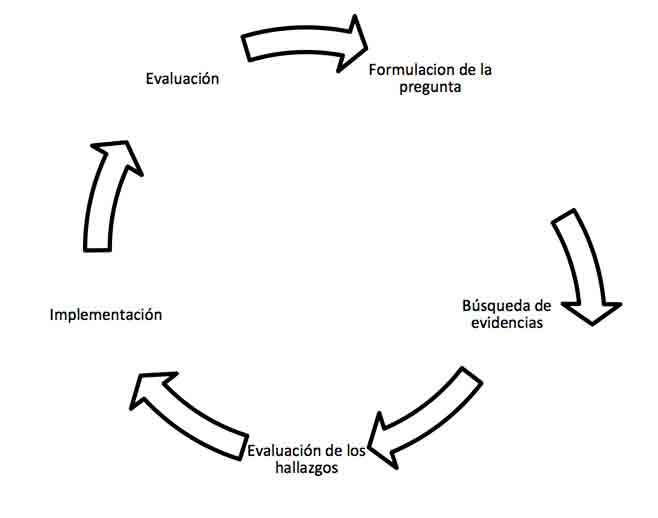 Fases Del Ciclo De La Enfermería Basada En Evidencias